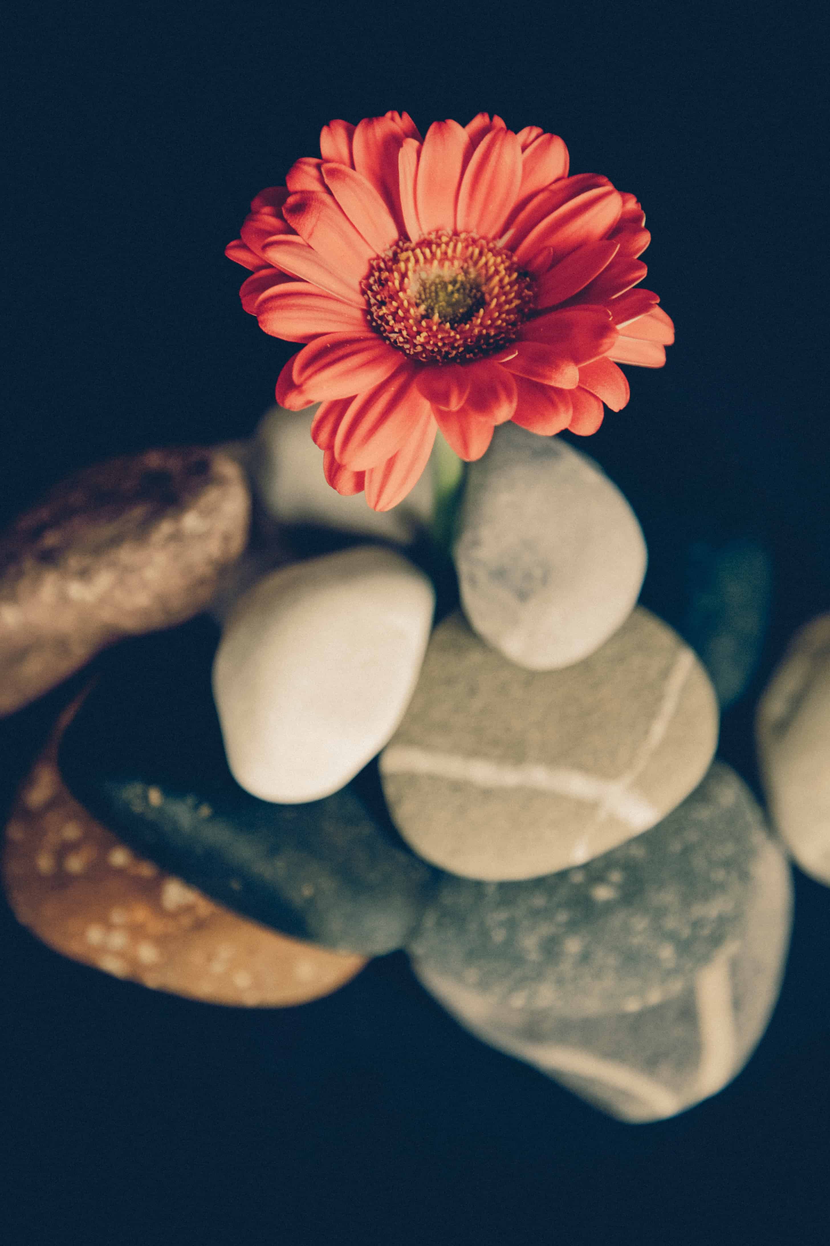 The Process and Benefits of a Hot Stone Massage - Lake Pointe Wellness ...